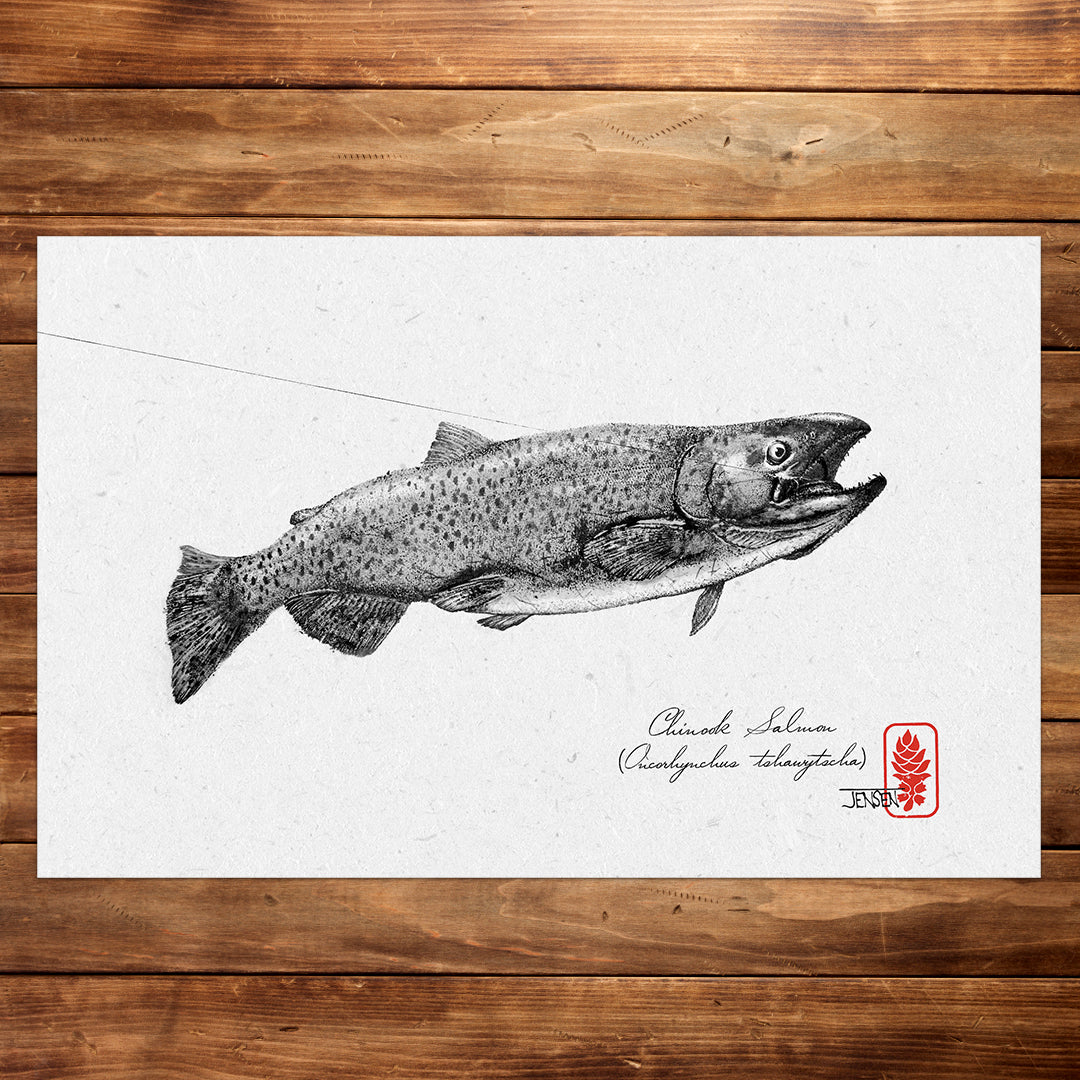 Chinook On A Hook (Original available) – Pacific Gyotaku